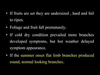 Flat limb of sapota | PPTX