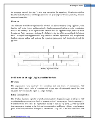Flat organisations | DOCX