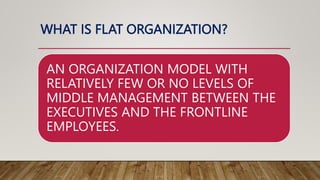 FLAT ORGANIZATION UPDATE 2.pptx