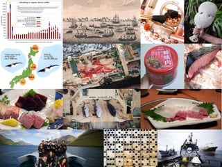 Flat plans for fanzine | PPTX