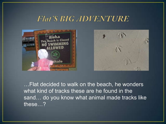 Flat Stanley's Cool Adventure | PPTX