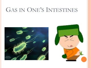 Flatulence | PPTX