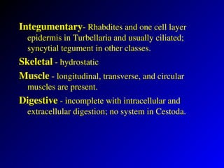 flatworms.ppt important notes for bsc zbc | PPT
