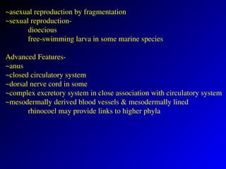flatworms.ppt important notes for bsc zbc | PPT