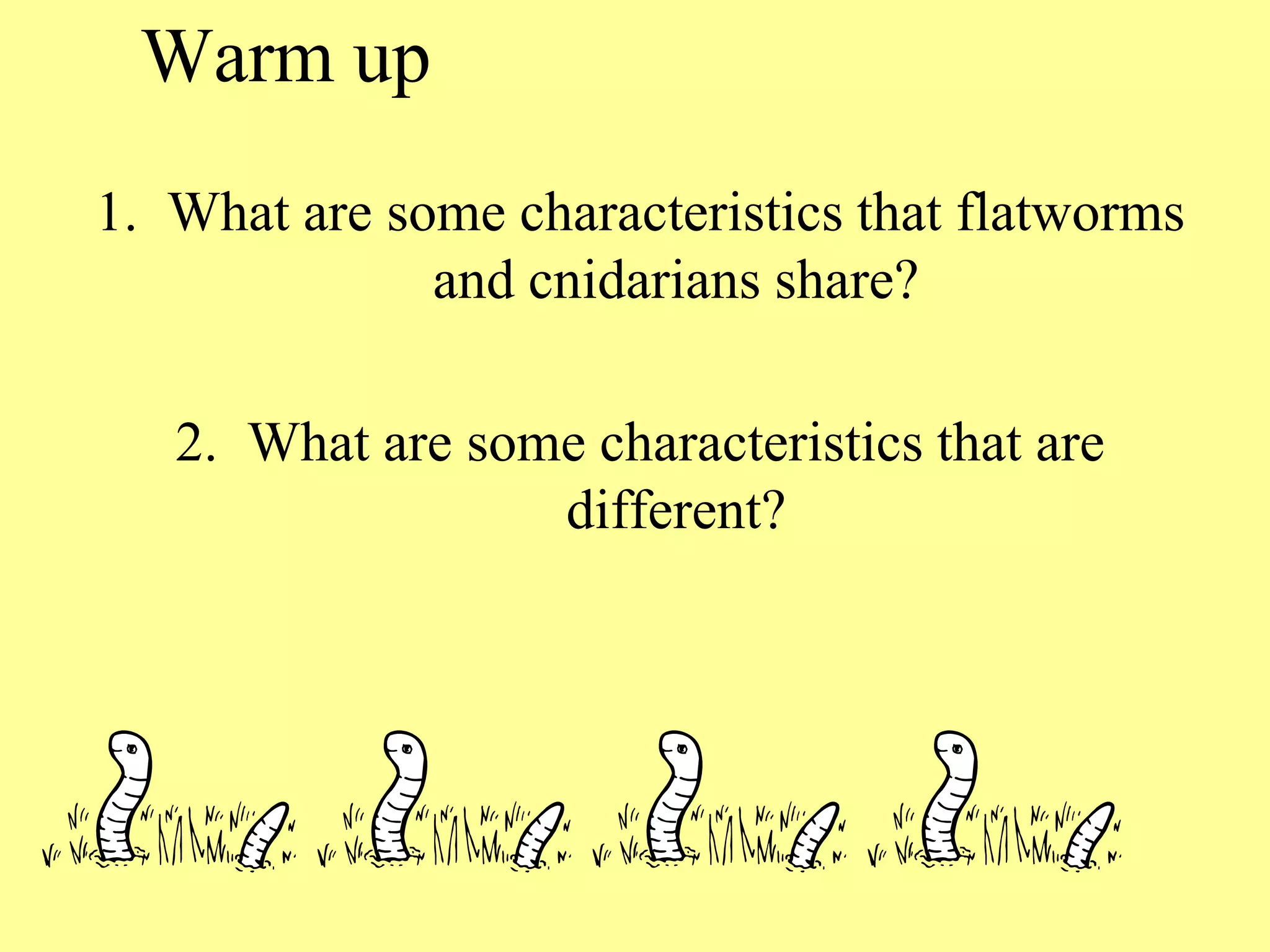 Flatworms roundworms notes | PPT
