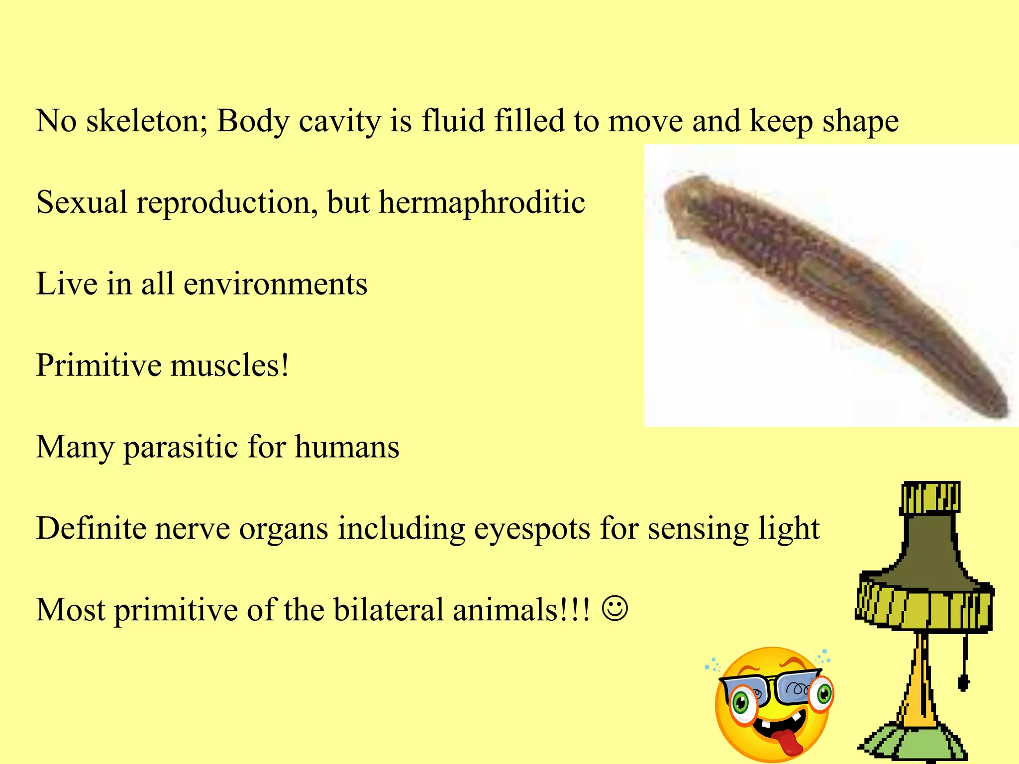 Flatworms roundworms notes | PPT