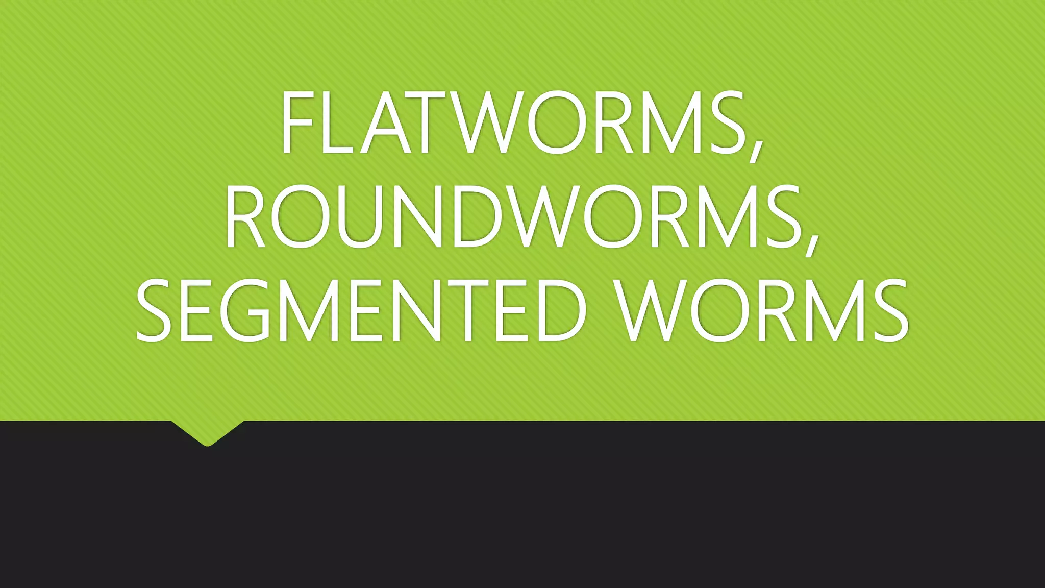 Flatworms, roundworms, segmented worms | PPTX