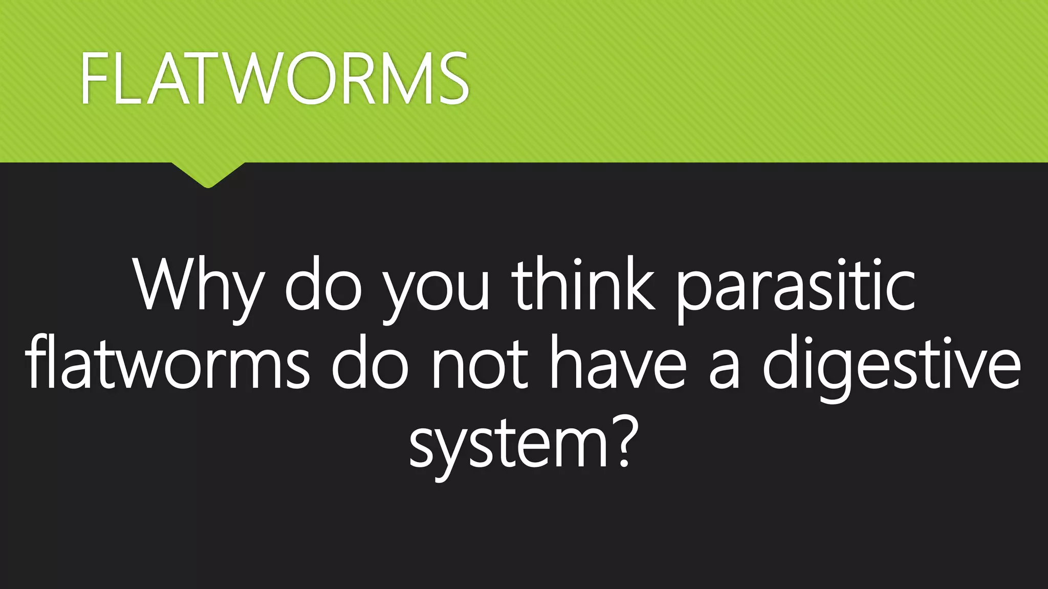 Flatworms, roundworms, segmented worms | PPTX