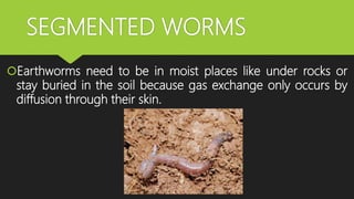Flatworms, roundworms, segmented worms | PPTX