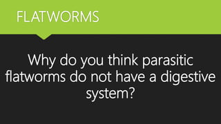 Flatworms, roundworms, segmented worms | PPTX