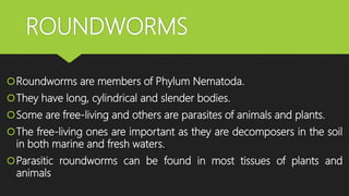 Flatworms, roundworms, segmented worms | PPTX