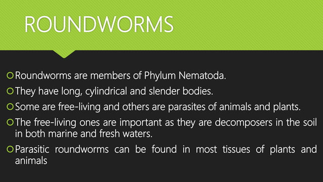 Flatworms, roundworms, segmented worms | PPT