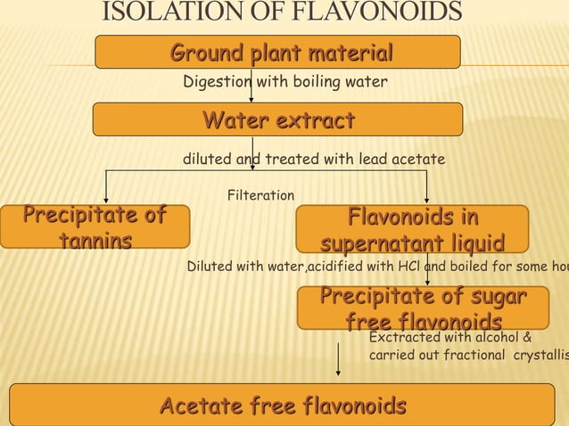 Flavanoids | PPTX