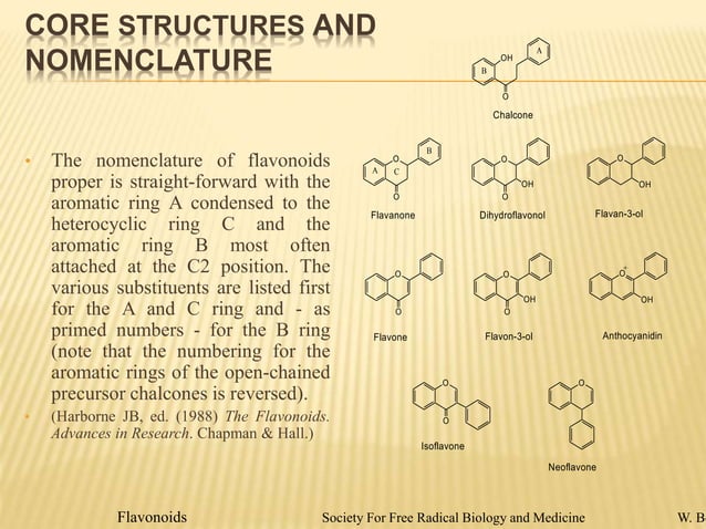 Flavanoids | PPTX
