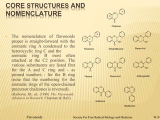flavanoids.pptx