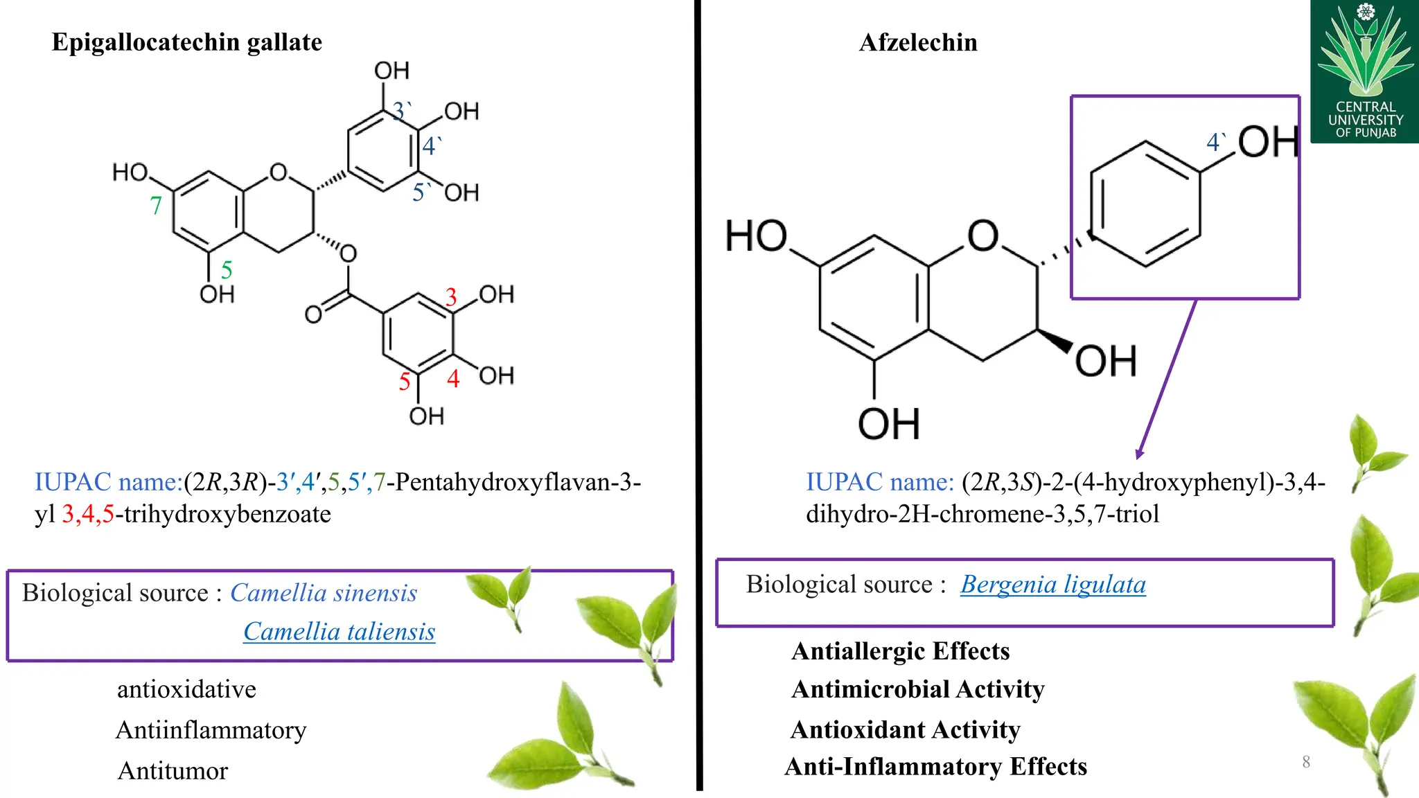 flavanol, flavanoid, structure, biological sourceflavanol.pptx