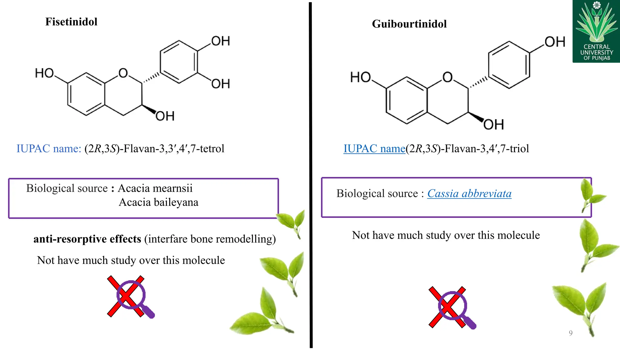 flavanol, flavanoid, structure, biological sourceflavanol.pptx