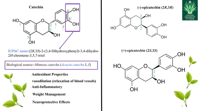 flavanol, flavanoid, structure, biological sourceflavanol.pptx
