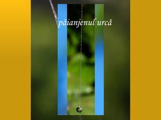 Flavia Muntean Prunul Uscat | PPT