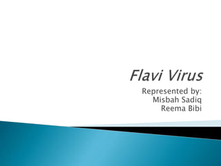 Flavi virus | PPTX