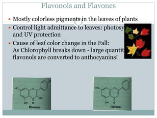 Flavnoids in plants | PDF