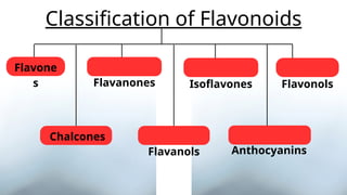 Flavonoids, Classification and basic structure.pptx