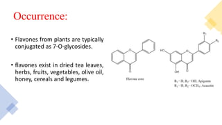 Flavones & Flavonoids.pptx | Chemistry | Science