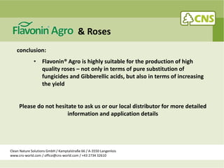 Bioestimulante Flavonin Agro en Rosas.pdf
