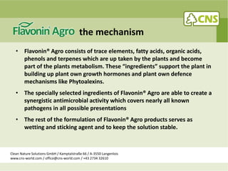 Flavonin Agro Biostimulant tomatoes trials | PDF