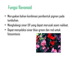 FLAVONOID BIOTEKNOLOGI MODERN BROWW.pptx