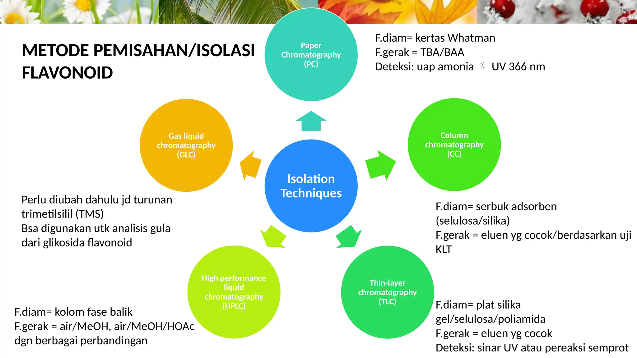 FLAVONOID and their characteristics.pptx