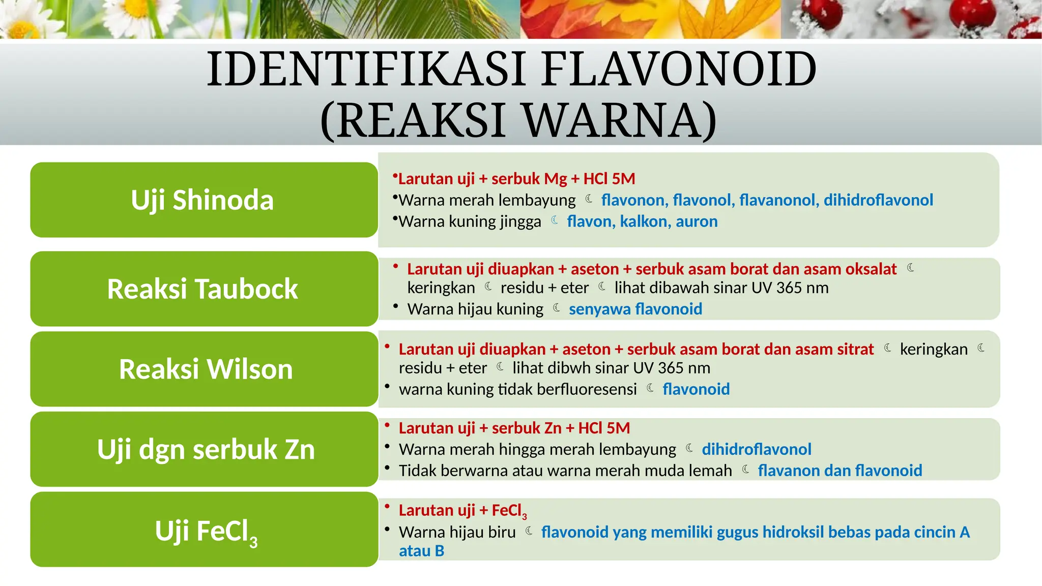 FLAVONOID and their characteristics.pptx