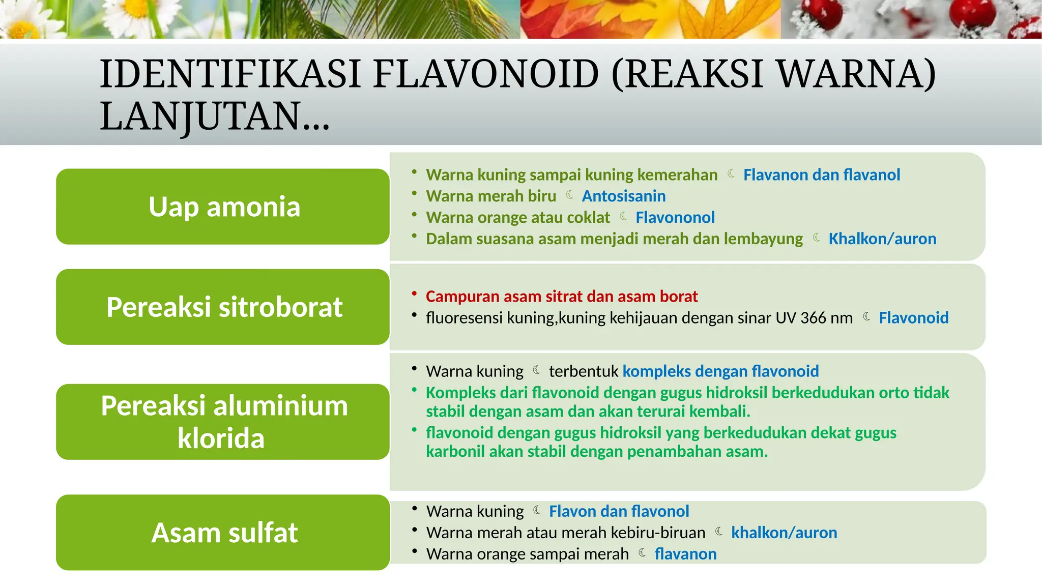 FLAVONOID and their characteristics.pptx