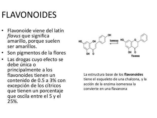 Flavonoides
