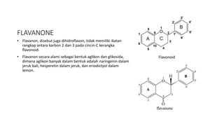 flavonoid_kel_4.pptx