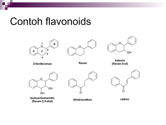 metabolit sekunder senyawa flavonoid p6-7.ppt