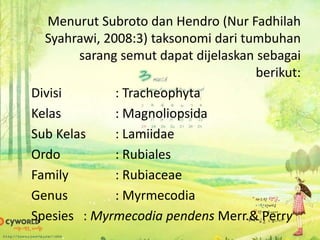 Flavonoid pada sarang semut | PPTX