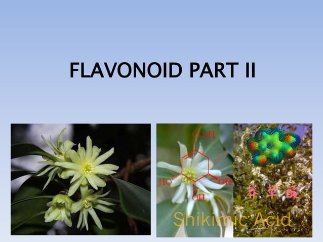 FLAVONOID PART II.pptx | Free Download