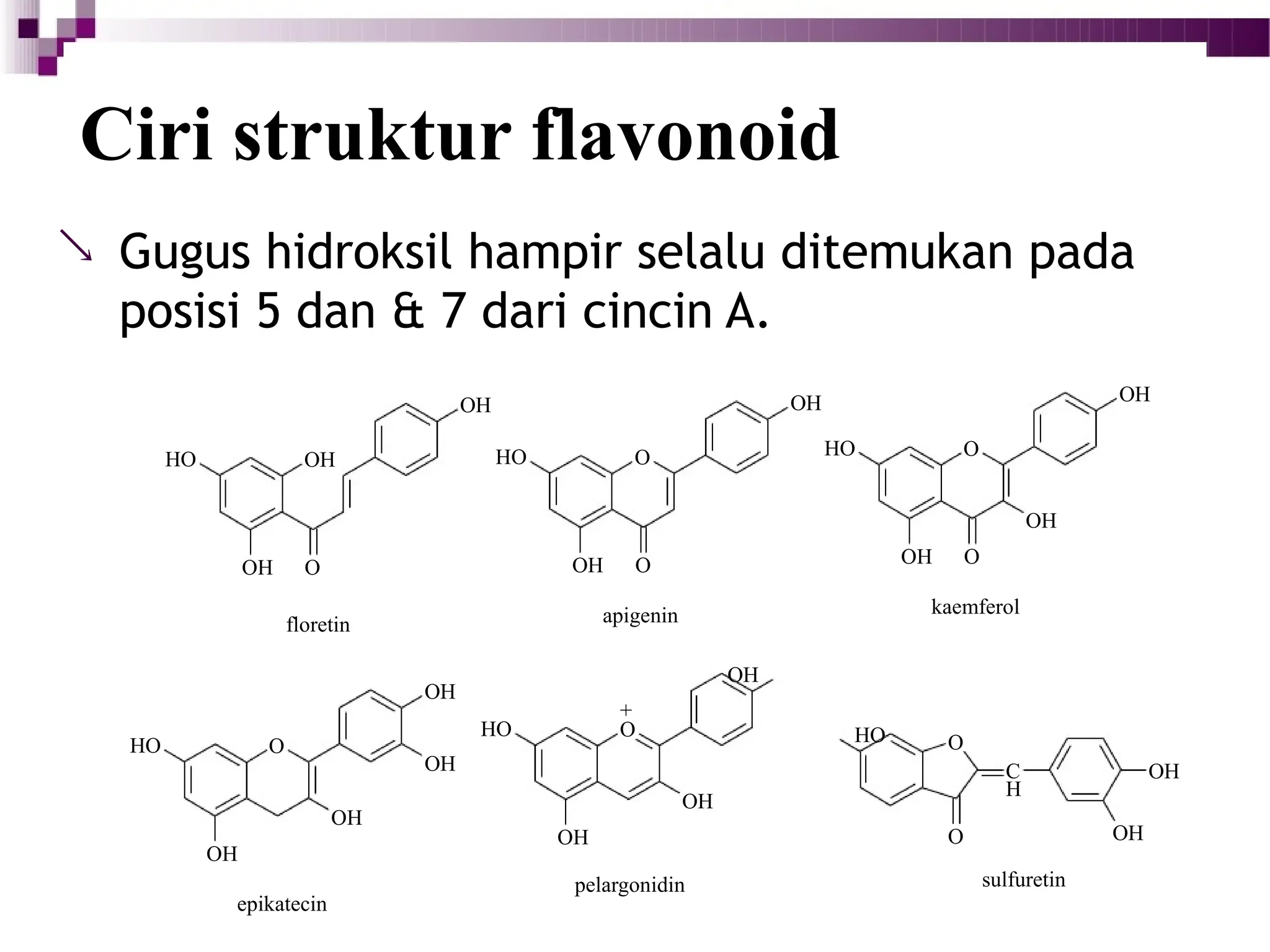 flavonoidpptx-150307182832-conversion-gate01.pptx