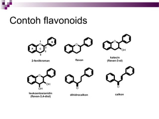 Flavonoid pptx | PPT