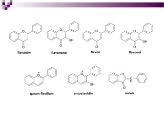 Flavonoid pptx | PPT