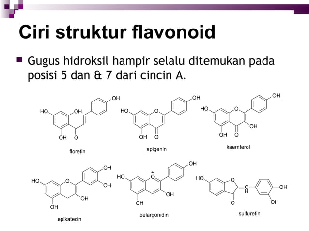 Flavonoid pptx | PPT