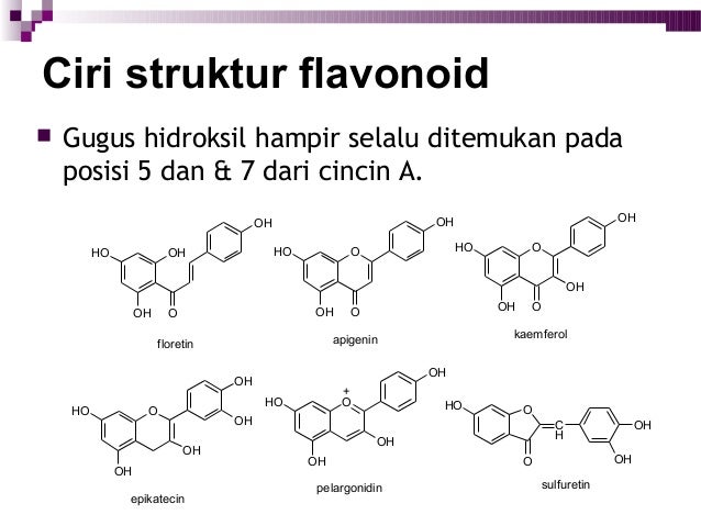 Flavonoid pptx