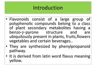 Flavonoids | PPTX