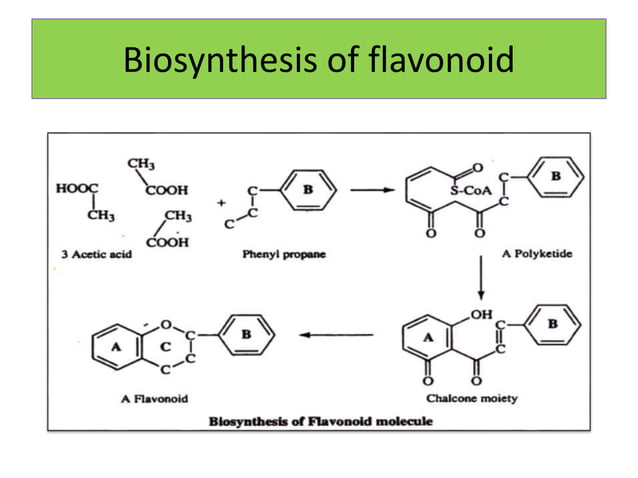 Flavonoids | PPTX | Chemistry | Science