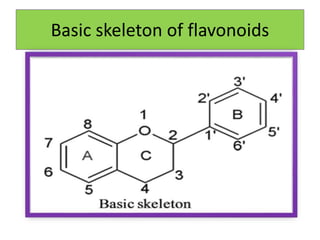 Flavonoids | PPTX
