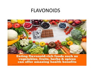 Flavonoids | PPTX