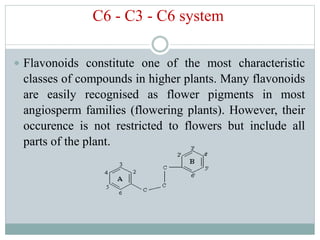 Flavonoids | PPTX