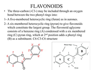 FLAVONOIDS.pptx