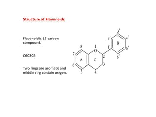 Flavonoids.pptx
